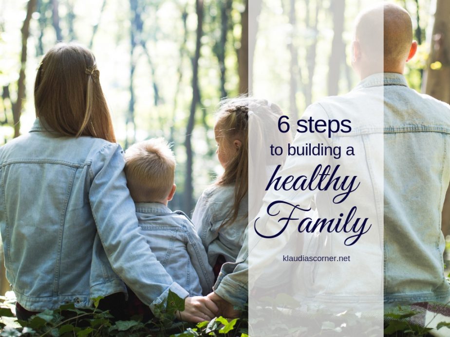 The Healthy Family Guide: 6 Steps To Building A Healthy Family