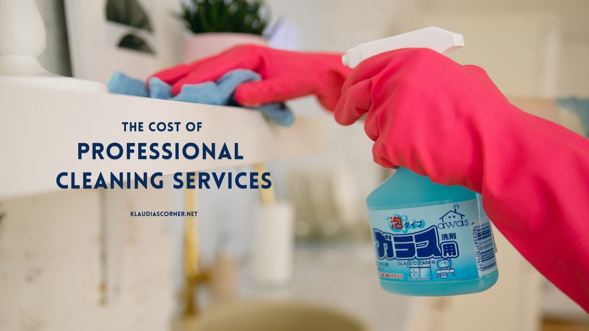 The Cost of Professional Cleaning Services
